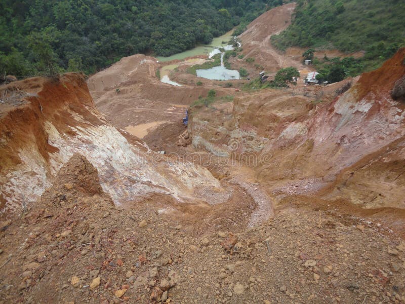 503 Caulim Fotos - Fotos de Stock Gratuitas e Fotos Royalty-Free Dreamstime