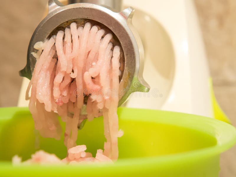 Minced fish stock image. Image of chef, meat, mincer - 235901575