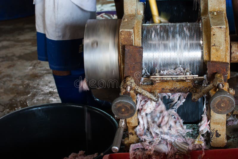 Minced fish stock photo. Image of hash, chop, process - 32597408