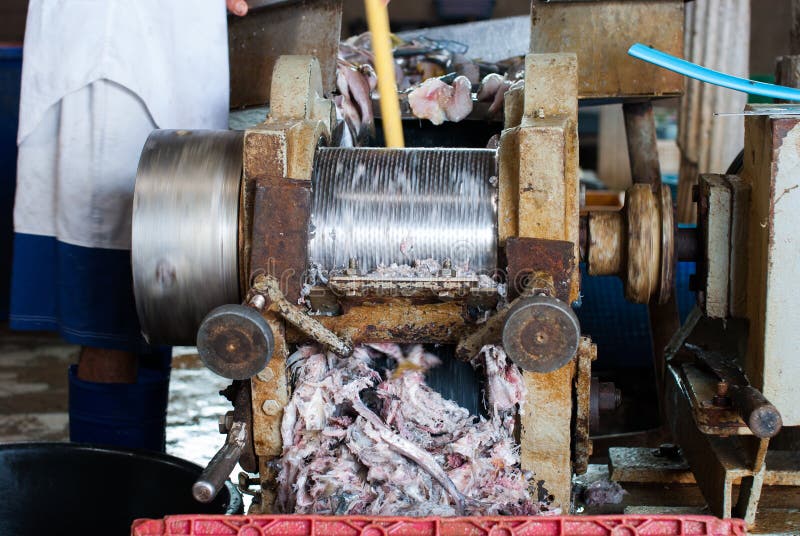 Minced fish stock image. Image of minced, cutting, machine - 32597747