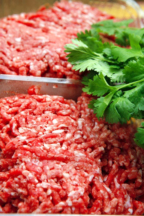 Minced meat stock photo. Image of beef, meat, prepare - 14723728