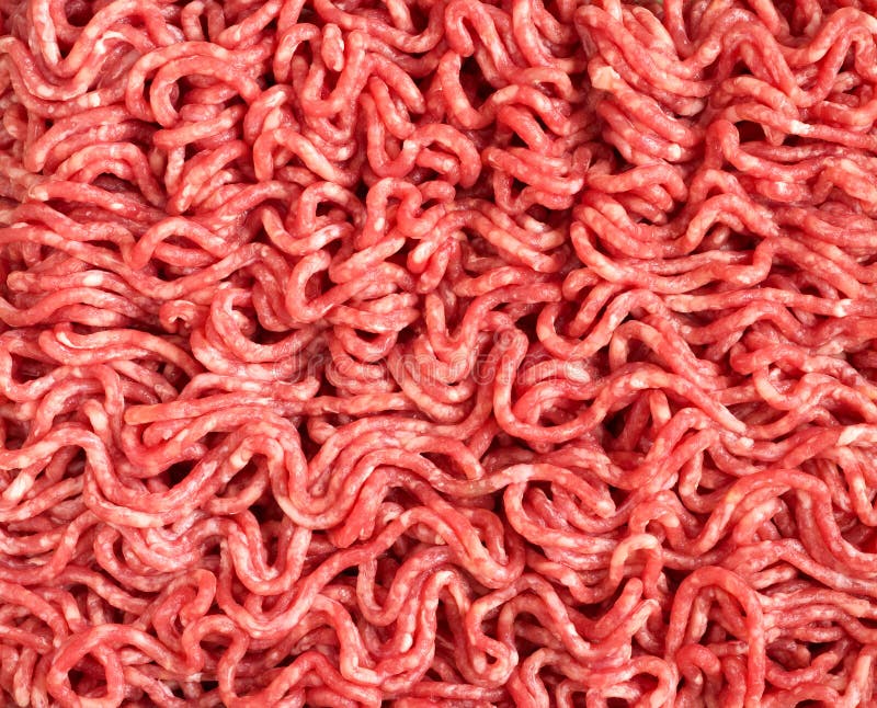 Minced meat stock photo. Image of kitchen, nutrition, texture - 976472