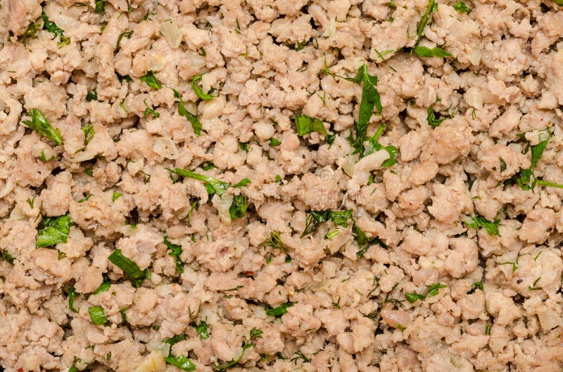 Minced Meat stock photo. Image of fritter, details, chopped - 27738344