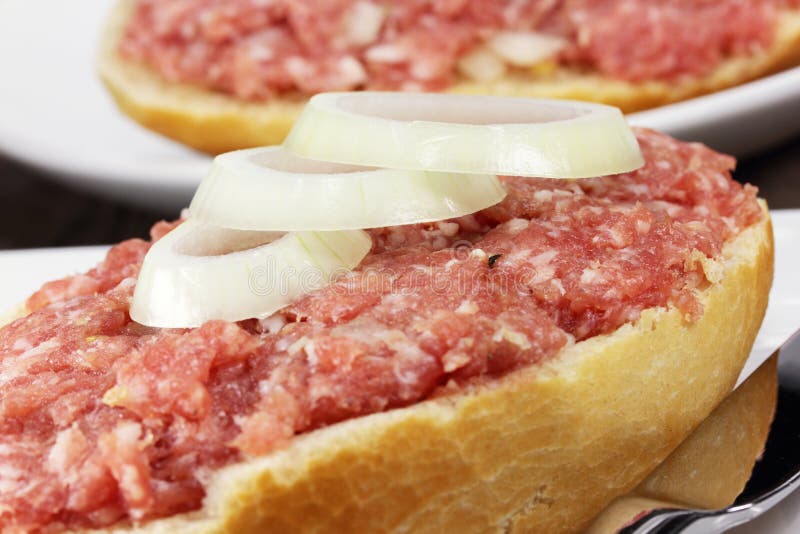 Minced meat stock photo. Image of tchen, sandwich, food - 42373438