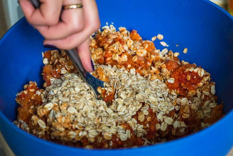 Minced meat with oatmeal stock photo. Image of grain - 80763900