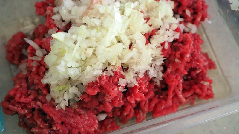 Minced Meat and Onions, Minced Meat and Raw Onions Stock Image - Image ...