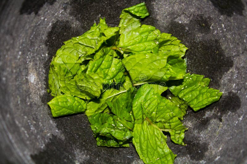 Minced Mint Leaves and Placed in a Kitchen Mortar Ready for Mojito ...