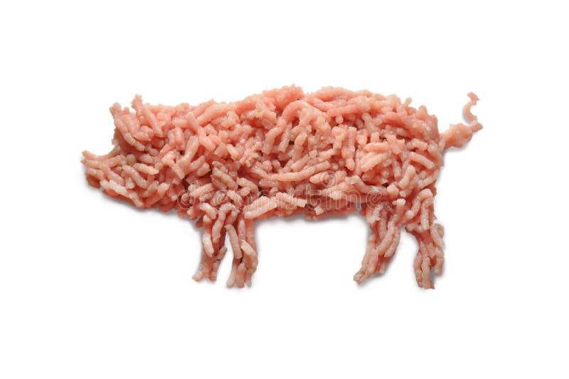Minced pork meat stock image. Image of meat, minced, pork - 30816351