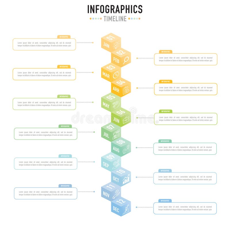 Timeline 12 Months Infographic for Business Presentation Stock Vector ...