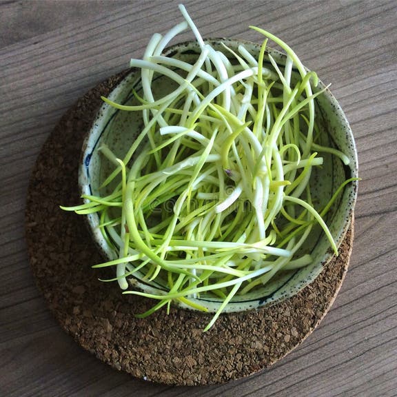 Mind onion stock photo. Image of vegetable, mind, fresh - 86067800