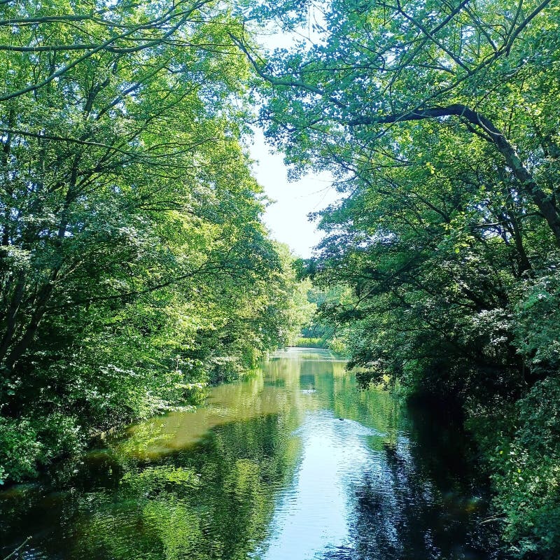 Mind Relaxing, River and Forest Stock Photo - Image of trees, nature ...