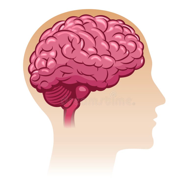 Mind silhouette icon stock vector. Illustration of biology - 361972484