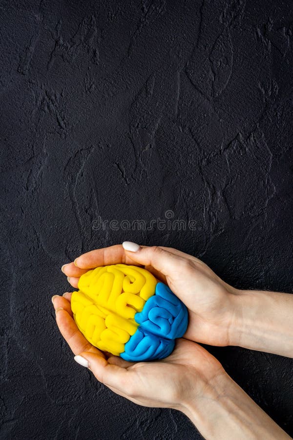 Mindfulness Concept. Human Brain Model in Hands, Top View Stock Image ...