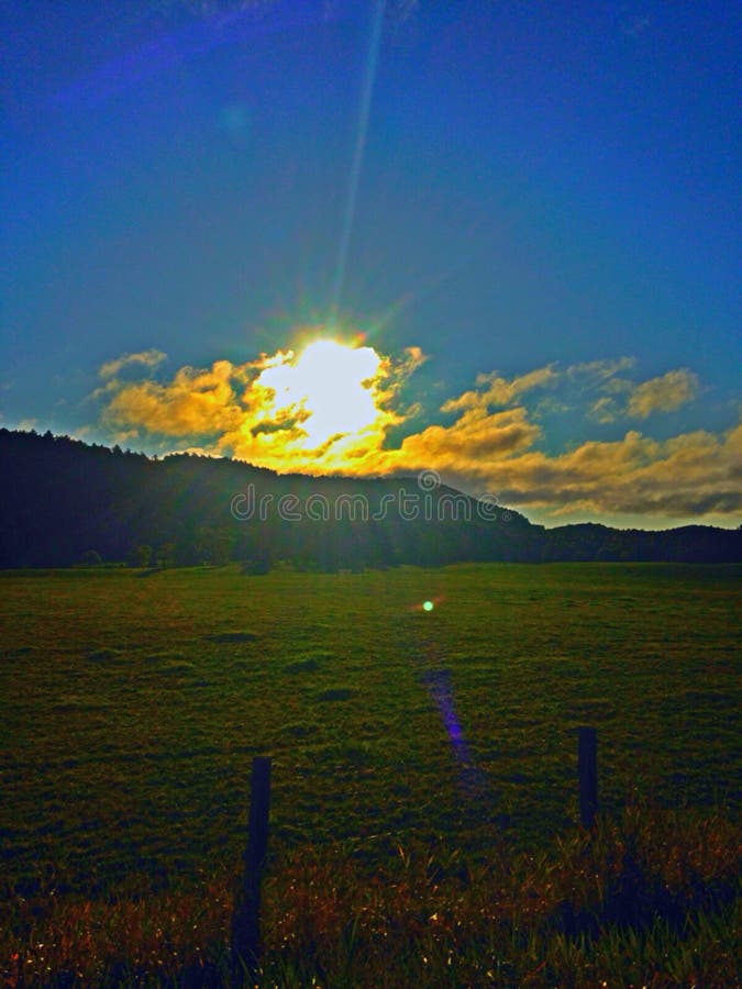 929 Mindless Stock Photos - Free & Royalty-Free Stock Photos from ...