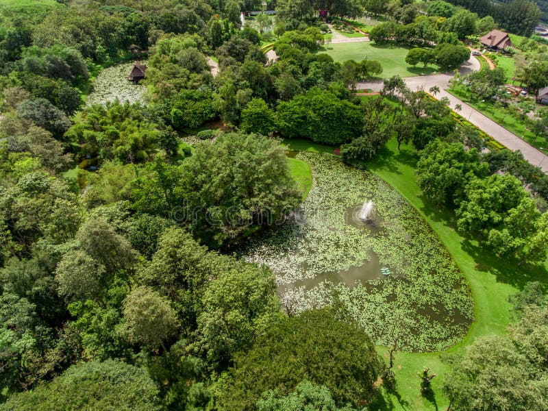 Mine Pits ; Aerial View stock image. Image of coal, mining - 85522431