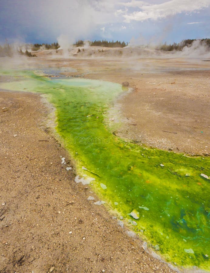 Mineral Enriched Water Flowing from Geothermals Stock Photo - Image of ...
