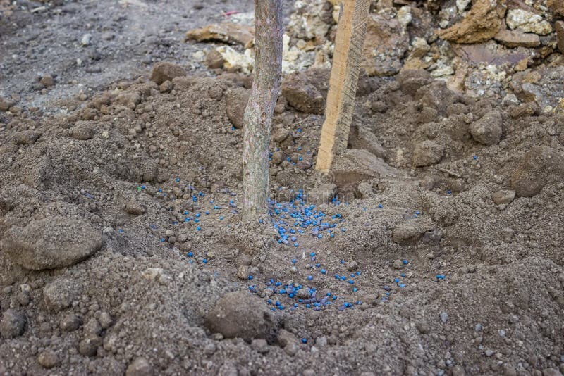 Mineral fertilizer 2 stock image. Image of ground, black - 34484735