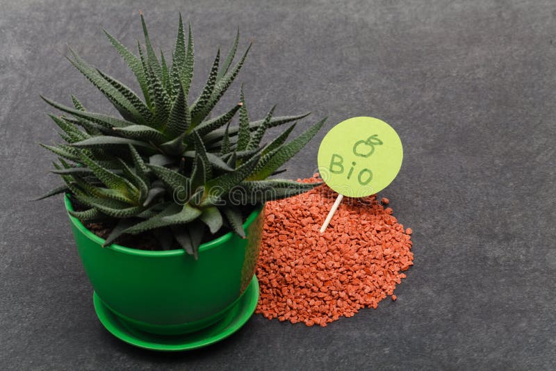 Mineral Fertilizer with Phosphorus in Red Stock Photo - Image of crop ...