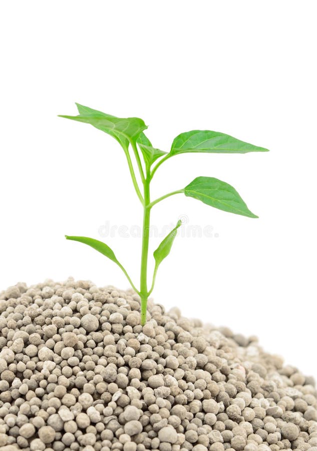 Mineral Fertilizers Isolated on White Stock Photo - Image of garden ...