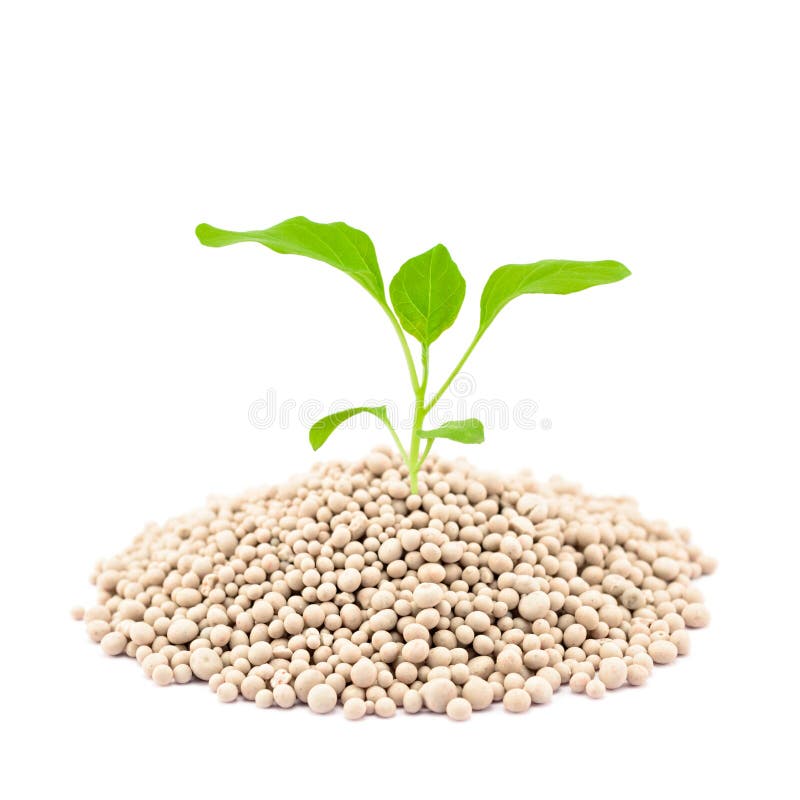 Mineral Fertilizers Isolated on White Stock Photo - Image of garden ...