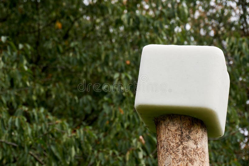 Mineral Rock Horses Stock Photos - Free & Royalty-Free Stock Photos ...