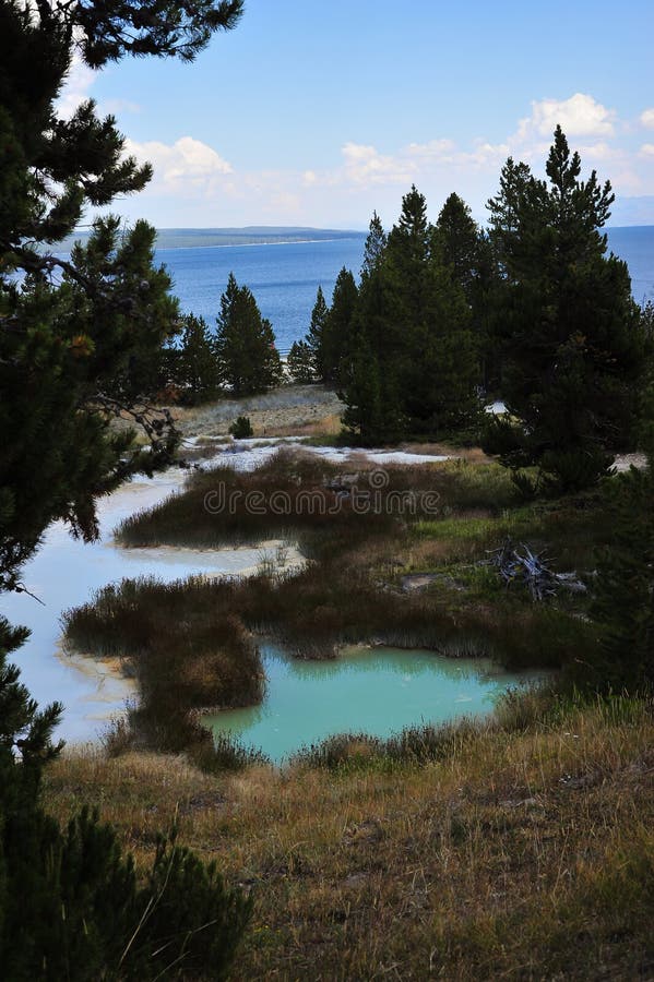 Mineral Pools at Yellowstone Stock Image - Image of activity, tourist ...