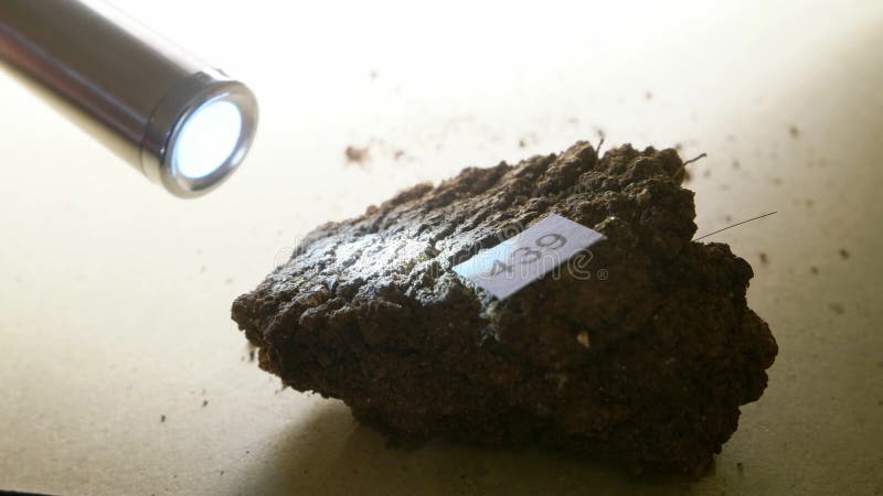 Mineral and Soil Sample Analysis Stock Video - Video of nature, lava ...