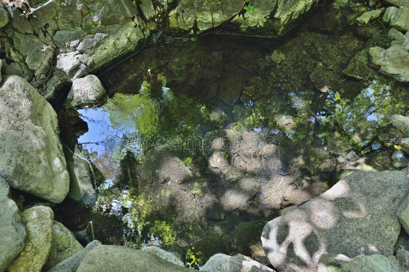 Mineral spring 2 stock photo. Image of radon, medicinal - 84332620