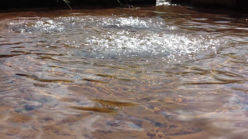 Mineral Spring stock video. Video of thermal, nature - 53978555