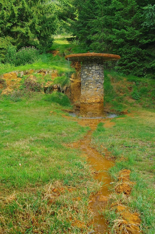 Mineral Spring Water Source 3 Stock Photo - Image of green, forest ...