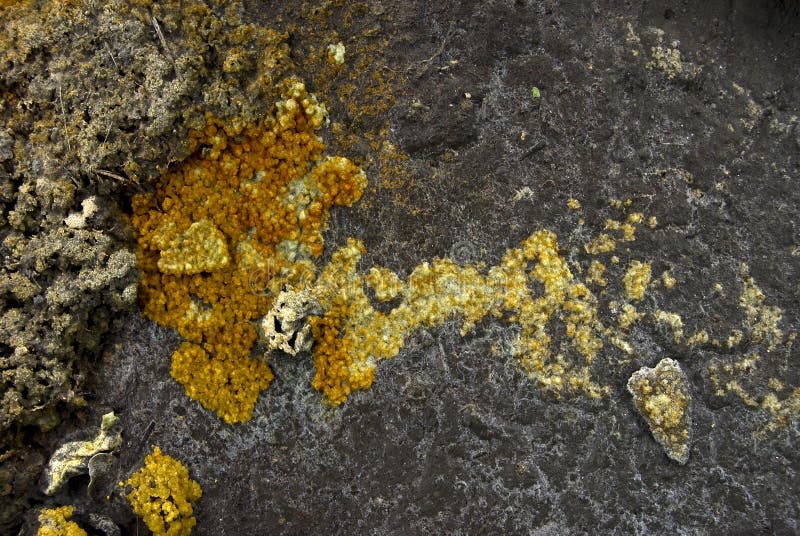 Mineral textures stock photo. Image of backdrop, gray - 11856398