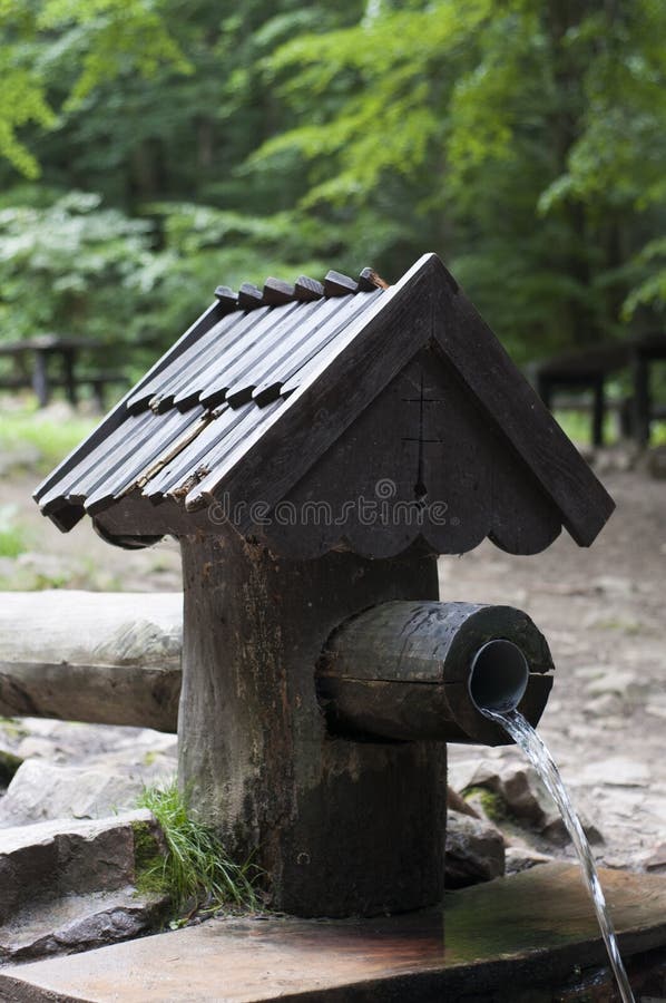 Mineral Water Spring in Forest Stock Photo - Image of freshwater, clean ...