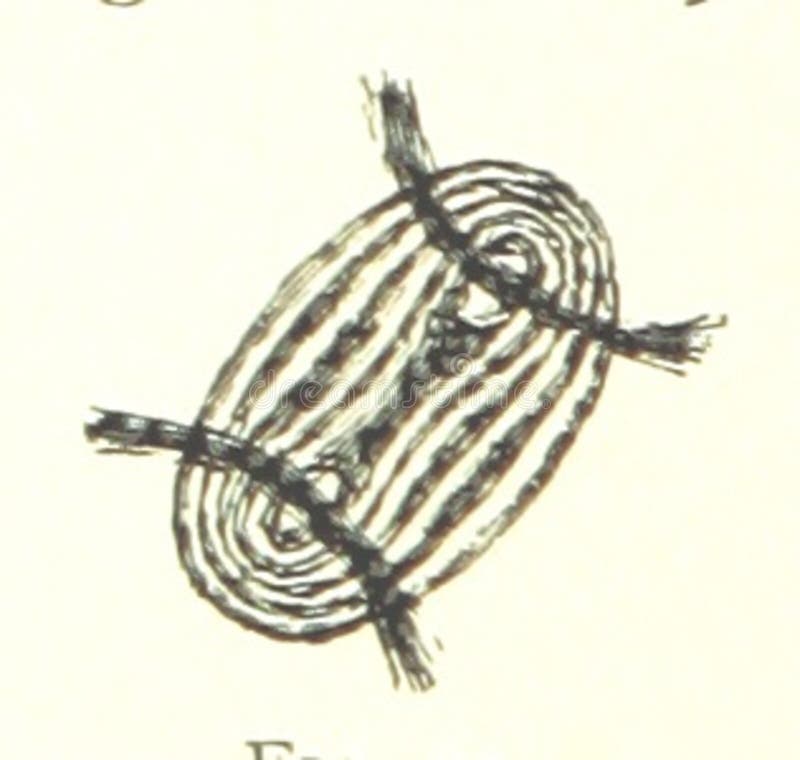 British Library Digitised Image From Page 50 Of "Minerals In Rock ...