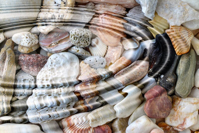 Minerals and shells stock photo. Image of heap, detail - 92617698