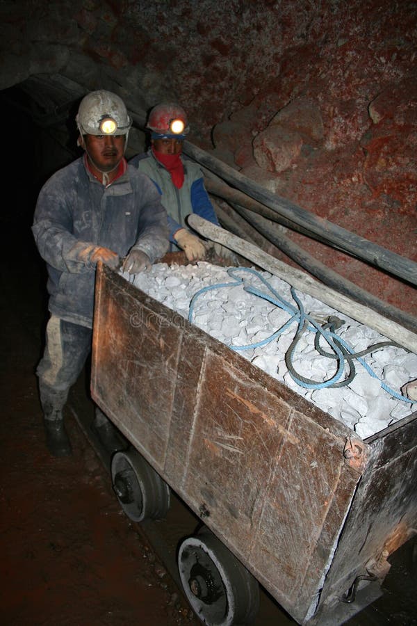Lotus Seed Pod stock image. Image of details, colorful - 6306191