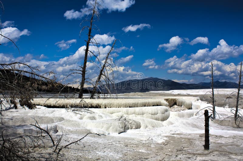 Minerva Terrace at Mammoth Hot Springs, in Yellowstone National Park ...