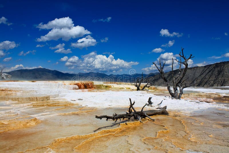 Main Terrace, Mammoth Hot Springs, Yellowstone Stock Image - Image of ...