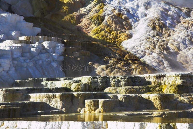 Minerva Terrace at Mammoth Hot Springs, in Yellowstone National Park ...