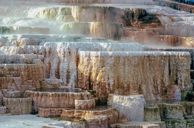 Minerva Terrace in Yellowstone National Park Stock Photo - Image of ...