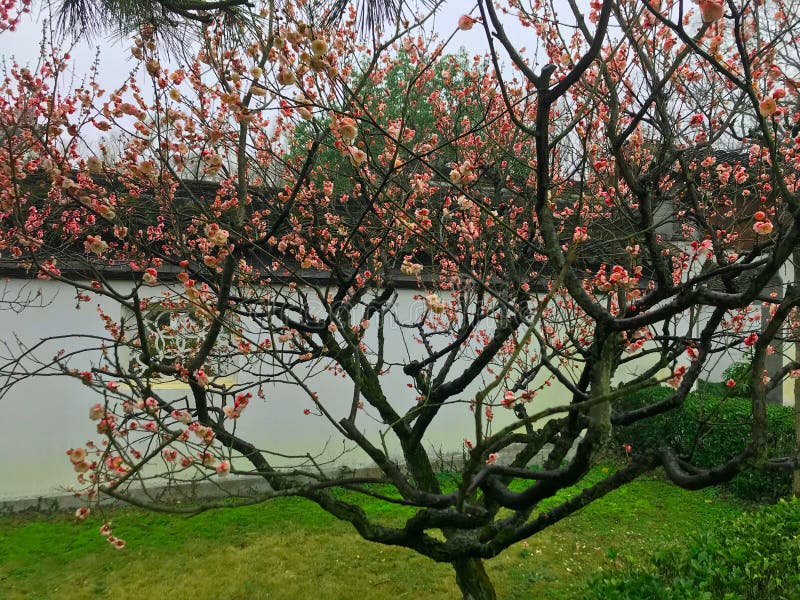 Ming Xiaoling editorial photography. Image of dynasty - 175895637