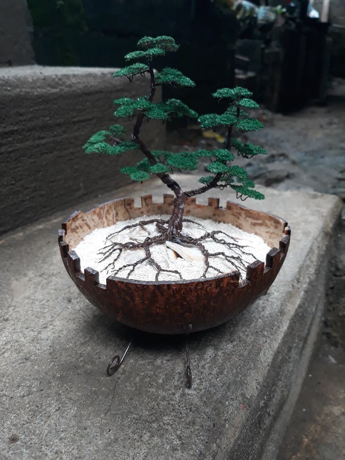 Handmade Tree with a Coconut Shell Stock Photo - Image of shell ...