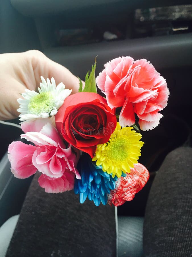 Mini bouquet stock image. Image of mini, bouquet, rose - 72786365