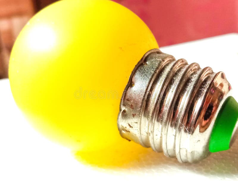 Mini bulb yellow stock photo. Image of seafood, invertebrate - 271508838