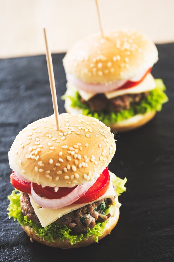 Mini burgers stock photo. Image of sliders, meat, cuisine - 48681958