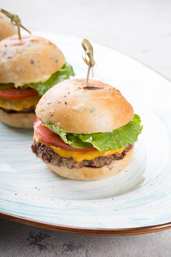 Mini Burgers Served for Dinner Stock Photo - Image of fast, kids: 157473620