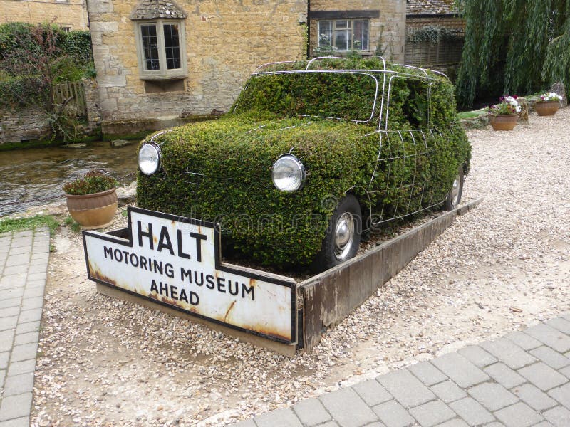 Mini bush in the sun stock image. Image of burton, summer - 152328163