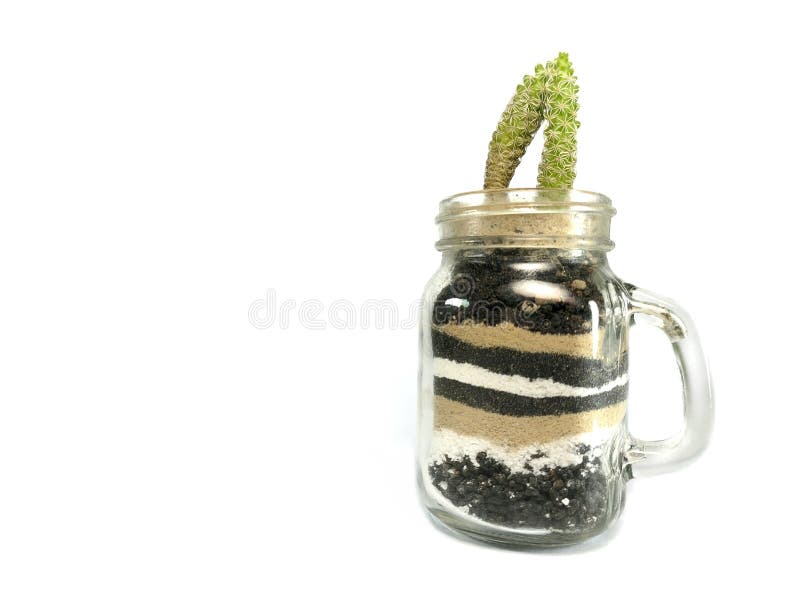 Mini Cactus Plant in Glass Layered Sand Isolated White Background Stock ...