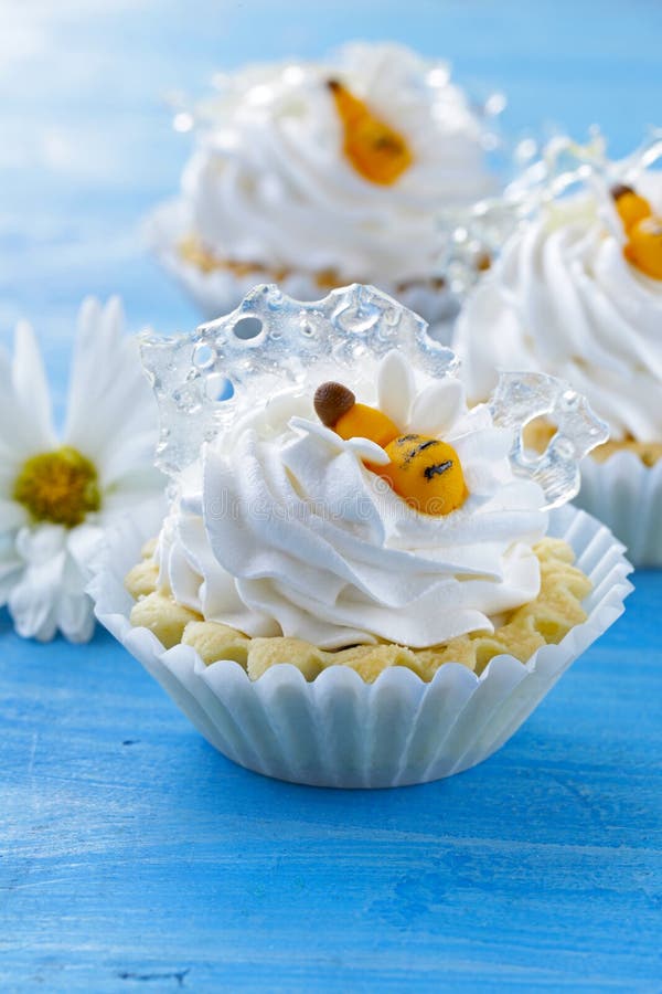 Mini Cake with Whipped Cream and Biscuit Stock Image - Image of closeup ...