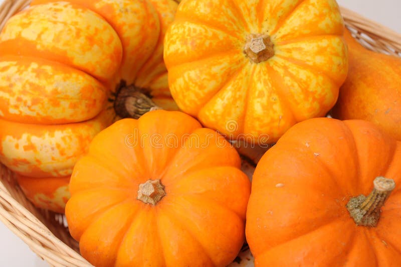 Mini calabaza foto de archivo. Imagen de compartimiento - 29233106