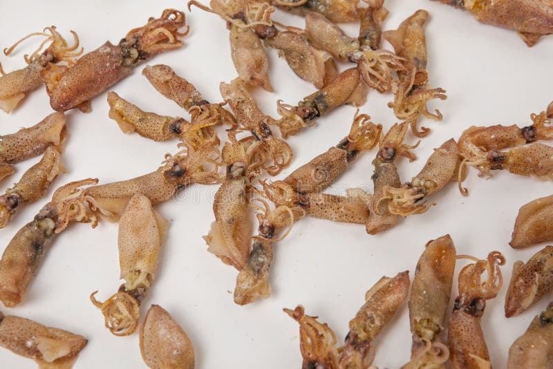 Mini calamari secchi immagine stock. Immagine di asia - 128018751